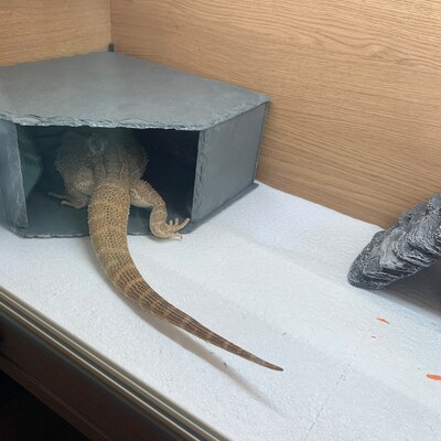 XXL Large Personalised Laser Engraved Slate Corner Cave Hide Aquarium ...