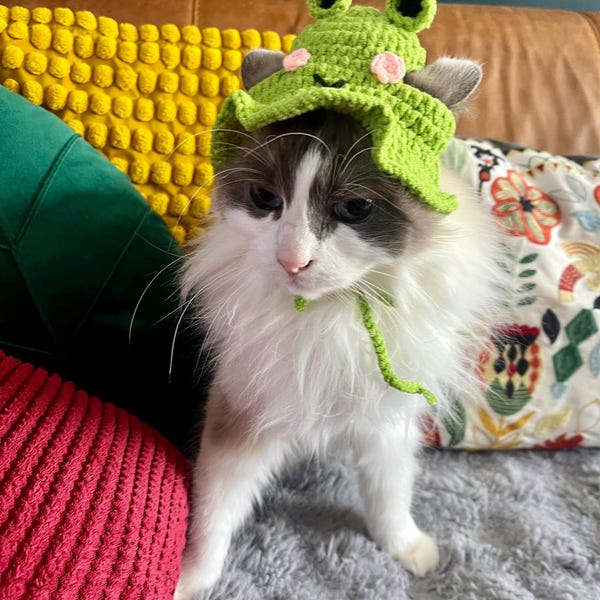 Cat Birthday Outfit | Crochet | Knitted | Letterbox Gift | Handmade ...