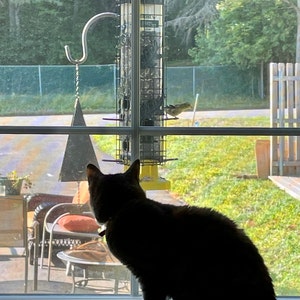 2 PC Soffit JMT Hook Hangers, Outdoor Hook, Soffit Hanger, Patio Hooks ...