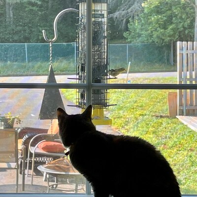 2 PC Soffit JMT Hook Hangers, Outdoor Hook, Soffit Hanger, Patio Hooks ...