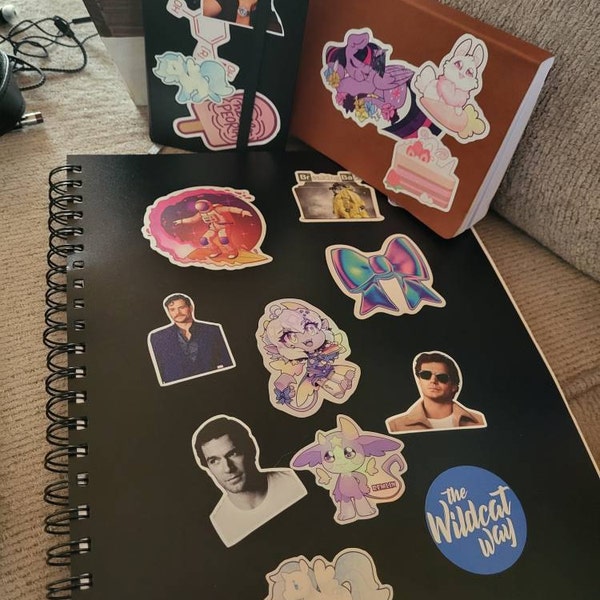 Honkai Star Rail Waterproof Vinyl Stickers - Caelus, Stelle, March 7th ...