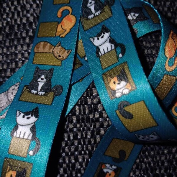 Pride Flag Cat - Vinyl Sticker - Pride Rainbow / Progress / Trans / Ace ...