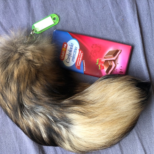 Real Raccoon Tail Raccoon Tail Keychain Keychain of Raccoon Tail Fur ...