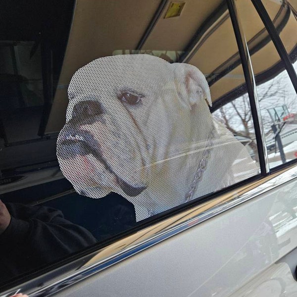 White Bulldog Window Sticker , 3D Sticker, Funny Sticker, White Bulldog ...