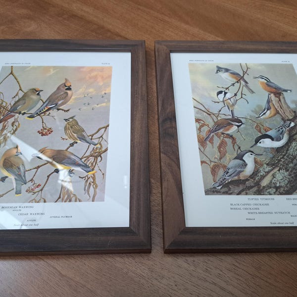 16x20 Landscape Painting With River and Trees Canvas Board - Etsy