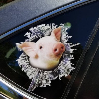Pig Window Sticker , Window Sticker, Pig Funny Decal - Etsy