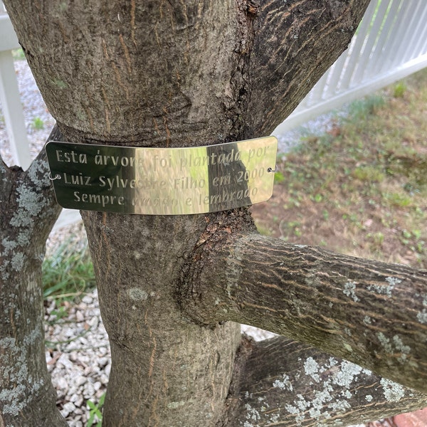 Original Tree Tag Hugger Engraved Tree Safe Memorial Plaque "official ...