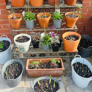 3 Tier Stepped Large Metal Verdigris (reddish Green) Decorative Plant ...