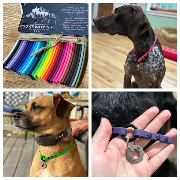 Biothane Color Sample Pack - Etsy