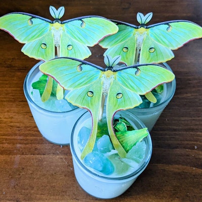 Medium Luna Moth Paper Cutouts, Realistic Paper Moths, 5 Pieces - Etsy