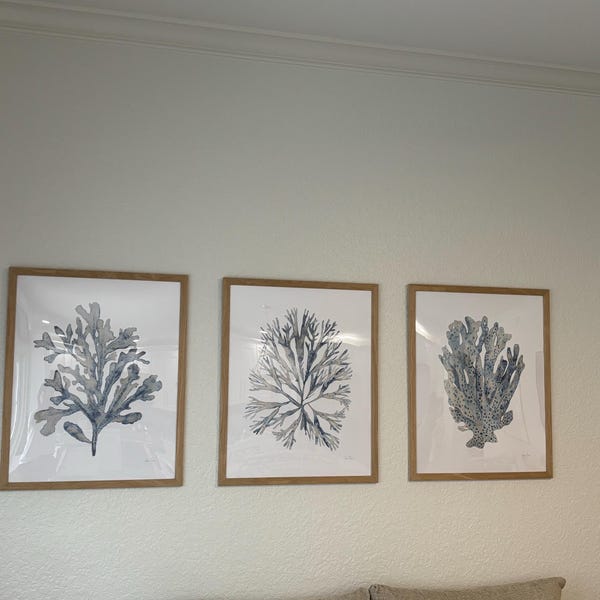 Blue Beige Coral Seaweed Print Set of 3 Minimalist Coastal Wall Decor ...