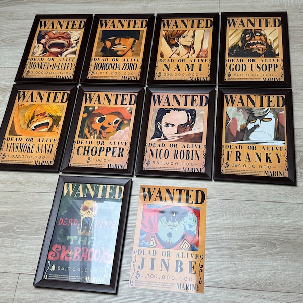 25+ Wanted Poster One Piece 10K 300dpi JPG BUNDLE | High Quality ...