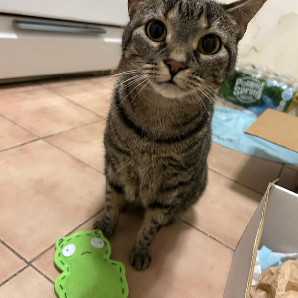 Kuchi Kopi Catnip Toy bobs Burgers - Etsy