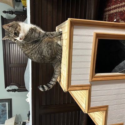 Transforming Shelf /workbench Plans Convertible Table/shelf - Etsy ...