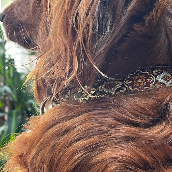 Adorable Turkey Dog Collar, Checkered, Fall, Seasonal, Thanksgiving, 1 ...