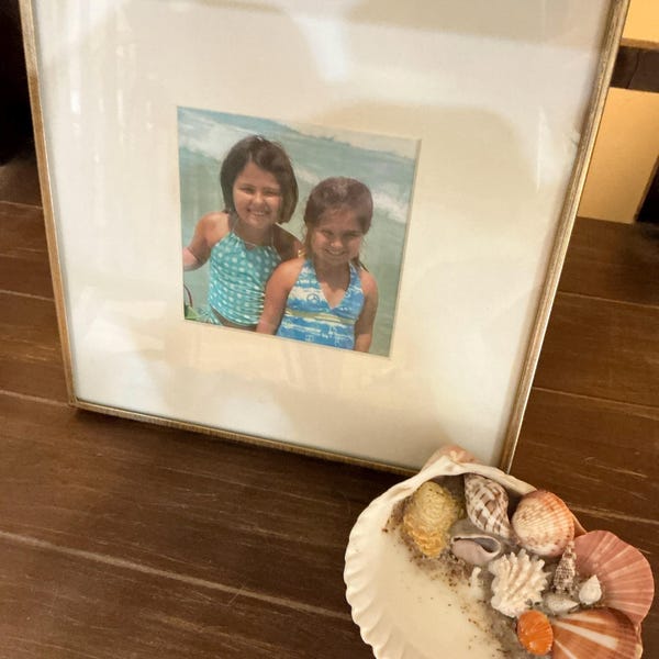 Florida Seashell SWF Set - Etsy
