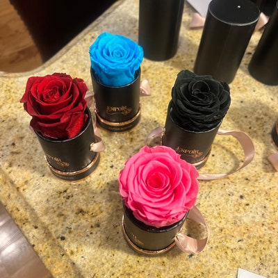 12 Preserved Roses in Ceramic White Vase / Dozen Forever Roses ...