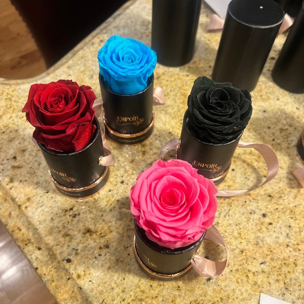 Pack of 16 Long-stem White Preserved Roses Forever Roses ecuadorian ...