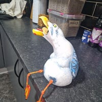 Grumpy Seagull "rocky" - Etsy UK