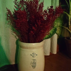 Bunch of Preserved Red Misty Red Caspia Red Wedding Fall | Etsy