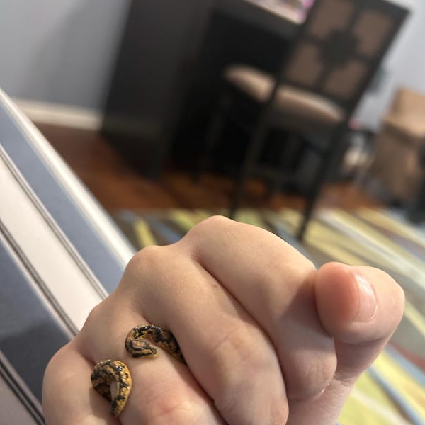Custom Snake Ring - Unique Adjustable Polymer Clay Jewelry - Etsy