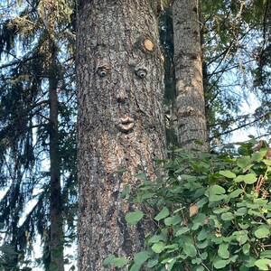 Forrest Stump Concrete Tree Face, Birthday Gifts, Fun Gardeners Gift ...