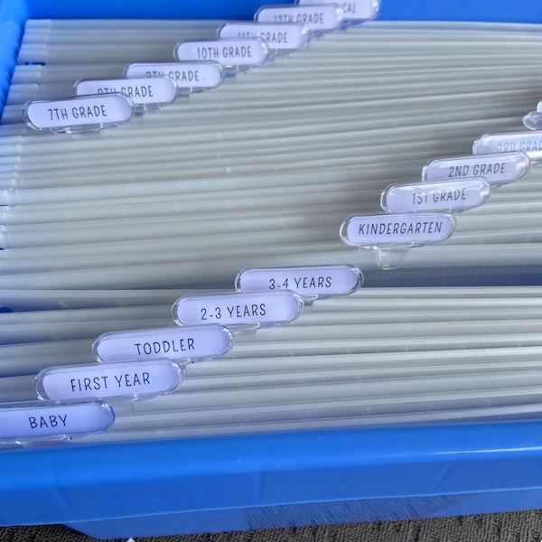 Printable Milestone Tote Labels | Instant Download | School File Box ...