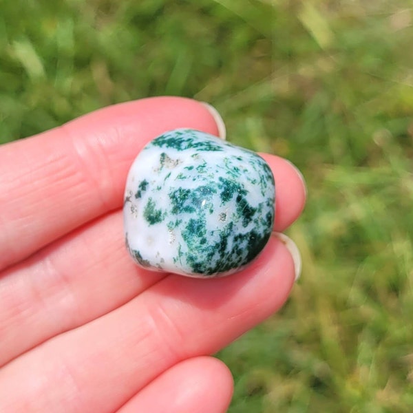 Tree Agate Crystal - Tumbled Tree Agate - Tree Agate Stone - Polished Tree Agate - Tumbled ...
