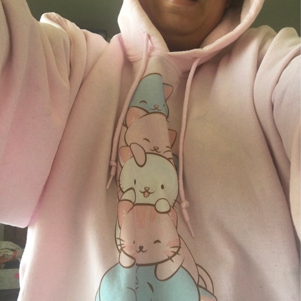 Transgender Pride Flag Kawaii Cat Hoodie / LGBTQ Subtle Pride Cute ...