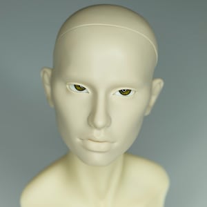 Richard Resin Bjd Head - Etsy