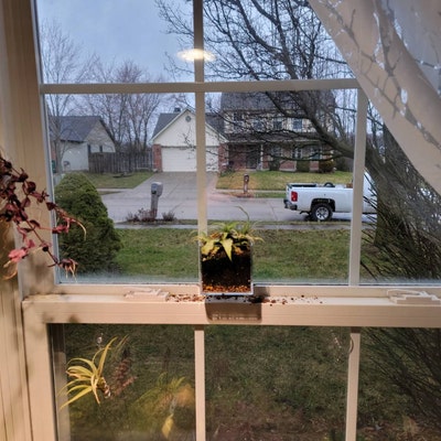 Window Planter Suction Cup 3 Inch Cube Style Planter That Attaches to ...