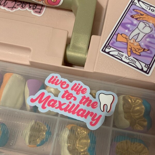 Live Life to the Maxillary Dental Sticker Dental Hygienist Sticker ...
