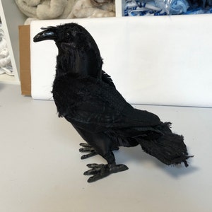 A Sewing Pattern PDF : Crow - Etsy