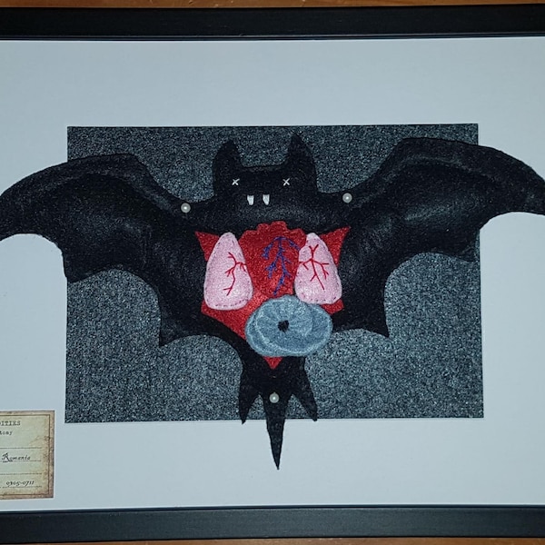 Chiroptera - Felt Anatomy - Biology, Gothic, Creepy, Cute, Halloween ...