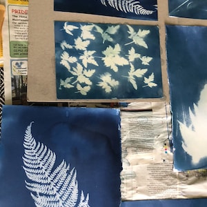 Cyanotype Kit Make Your Own Blueprints at Home - Etsy UK