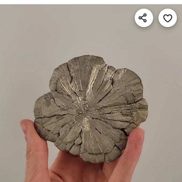 UV Reactive Calcite Geode From Muldraugh Hill, Kentucky, Large ...