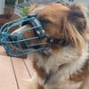 Custom Powder Coated Metal Wire Basket Dog Muzzle - Etsy