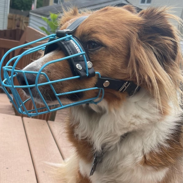 Custom Powder Coated Metal Wire Basket Dog Muzzle - Etsy