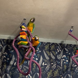 Macaw Ladder, Large Bird Toy - Etsy