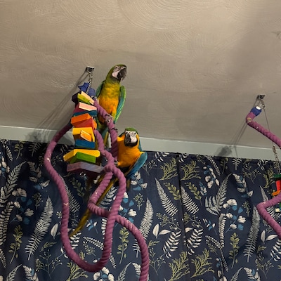 Macaw Ladder, Large Bird Toy - Etsy