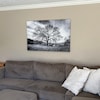 Vineyard Print Panorama Oak Tree Large Napa Valley Photo - Etsy