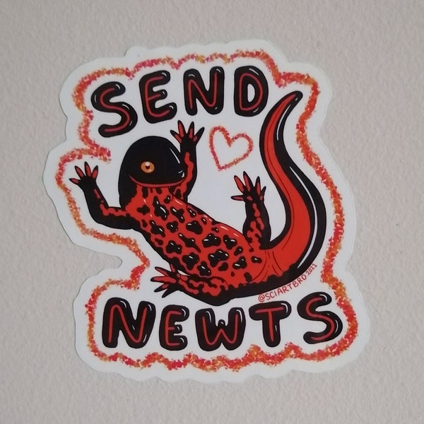 Metamorphic Pelitic Index Minerals Thin Section Study Bookmark ...