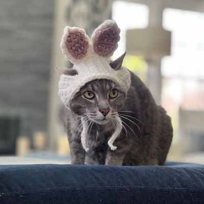 Alien Cat Costume Toy Story Alien Cat Hat Crochet UFO Cat - Etsy