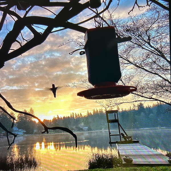 Guitar Knowledge Poster, Anatomy of A Guitar, History, String Types ...