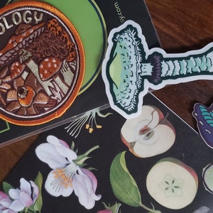 Mycology Patch - Etsy