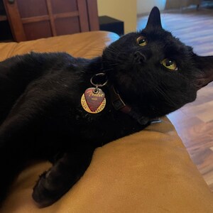 Loki's Ship Pet ID Tag - Etsy