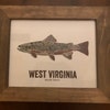 West Virginia State Fish, Map Art, Nature Outdoor Art, Vintage Map Art ...