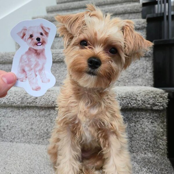 Personalized Dog Stickers Hand Drawn Custom Pet Sticker, Custom Dog ...