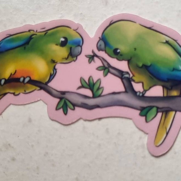 Sun Conure Sticker Sheet Premium Matte Vinyl Sticker Parakeet Parrot ...