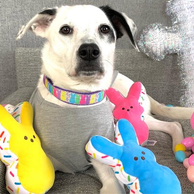 Juneteenth Themed Dog Collar or Bow Tie - Etsy